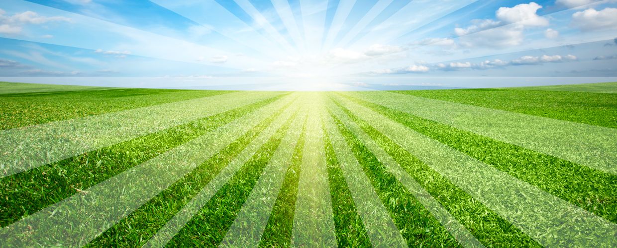 Weather Master Heating & Air Conditioning Raleigh, NC - HVAC